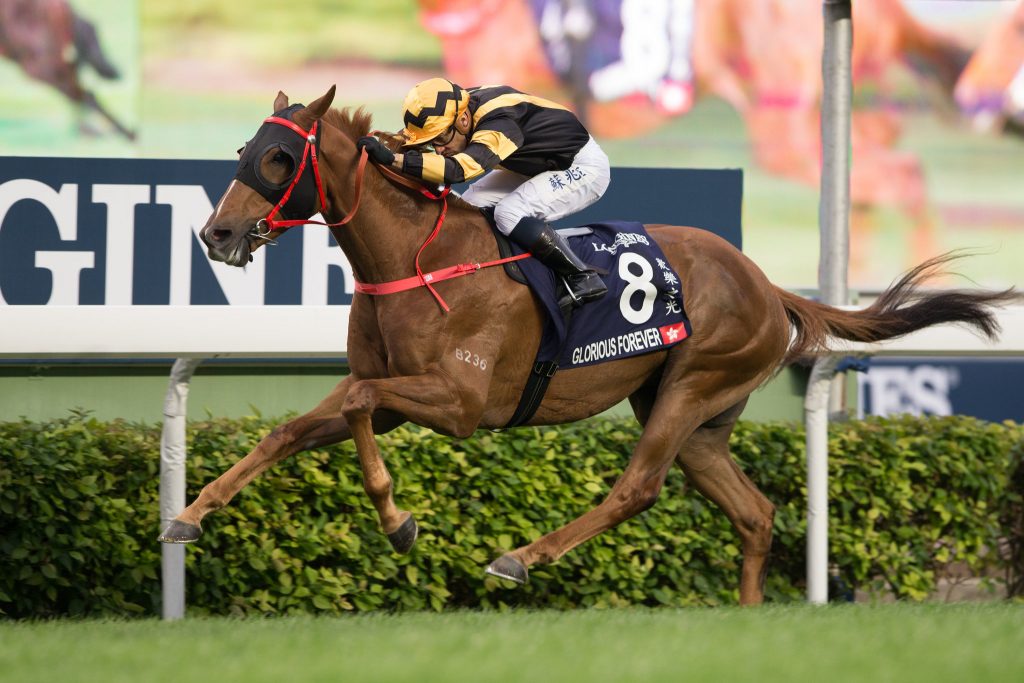 Fairyhouse Racing Tips & Predictions - Wednesday 1st July 2026