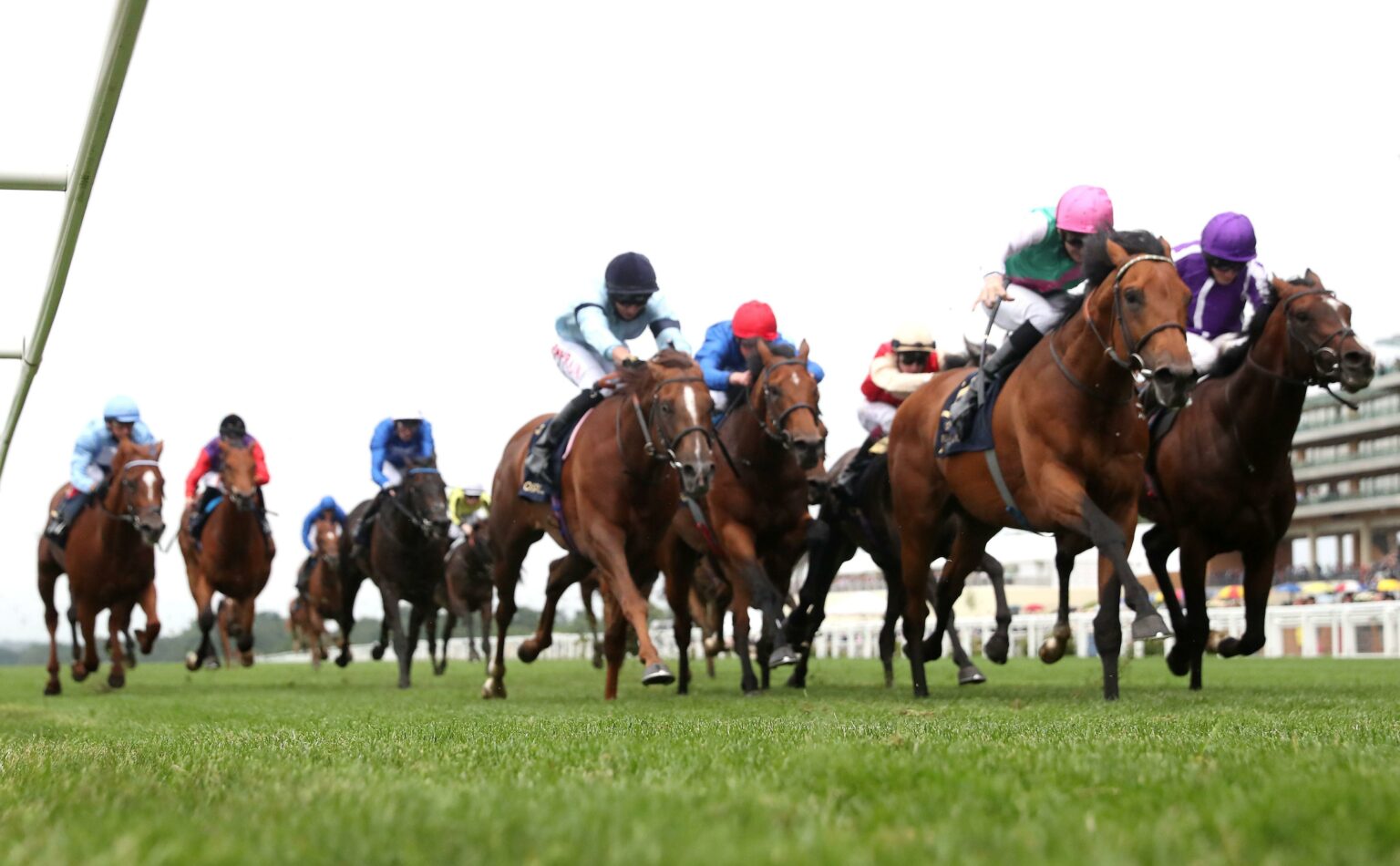 New & Exclusive: Matthew Sutcliffe's Value Pointers and Punts ...
