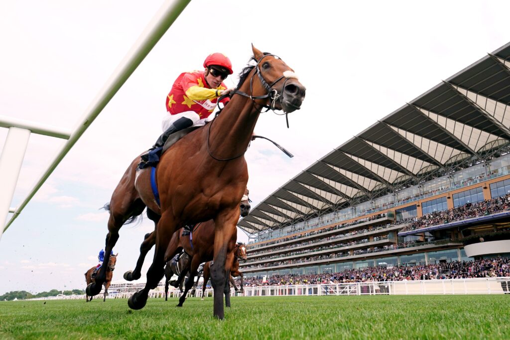 New & Exclusive: Matthew Sutcliffe's Value Pointers and Punts - Royal ...