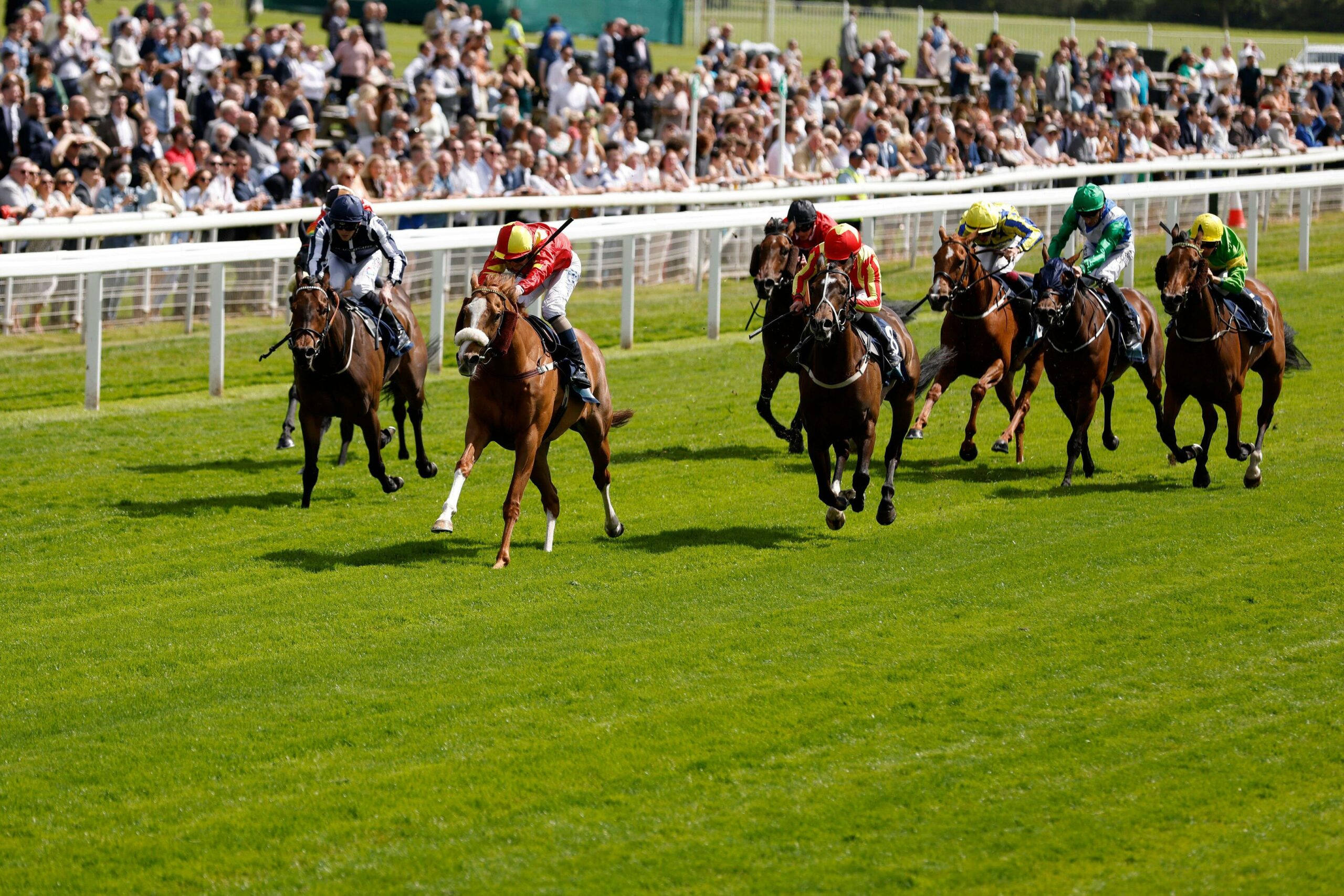 Matthew Sutcliffe's Value Pointers and Punts - Saturday, 29th July - GG ...