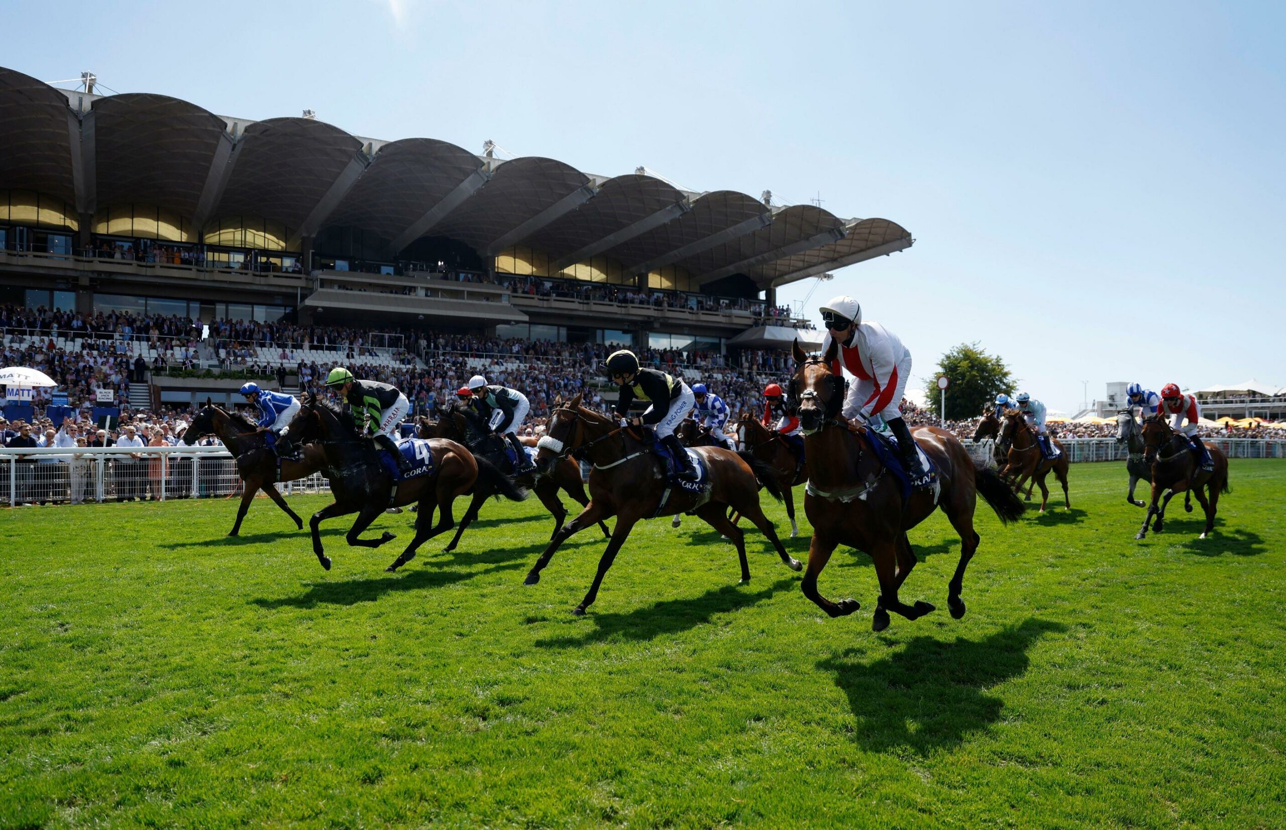 Tote Placepot: £250k To Be Won At Goodwood | Thursday, 3rd August - GG ...