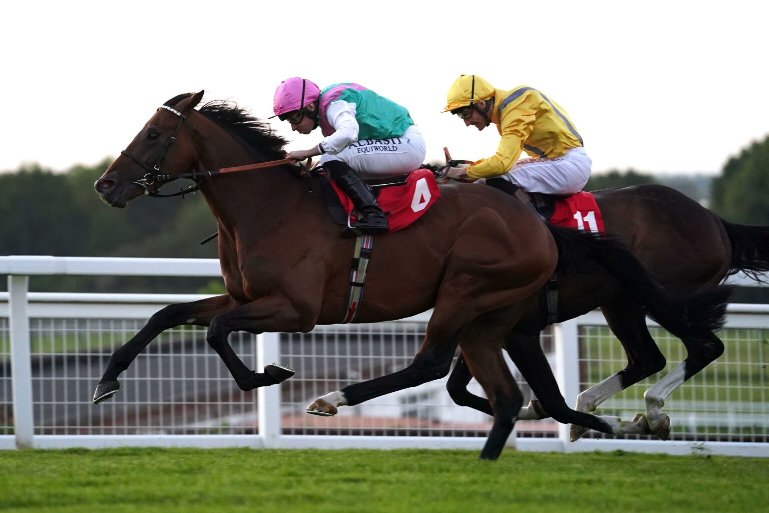 Matthew Sutcliffe's Value Punts - Selections from Sandown and York on ...