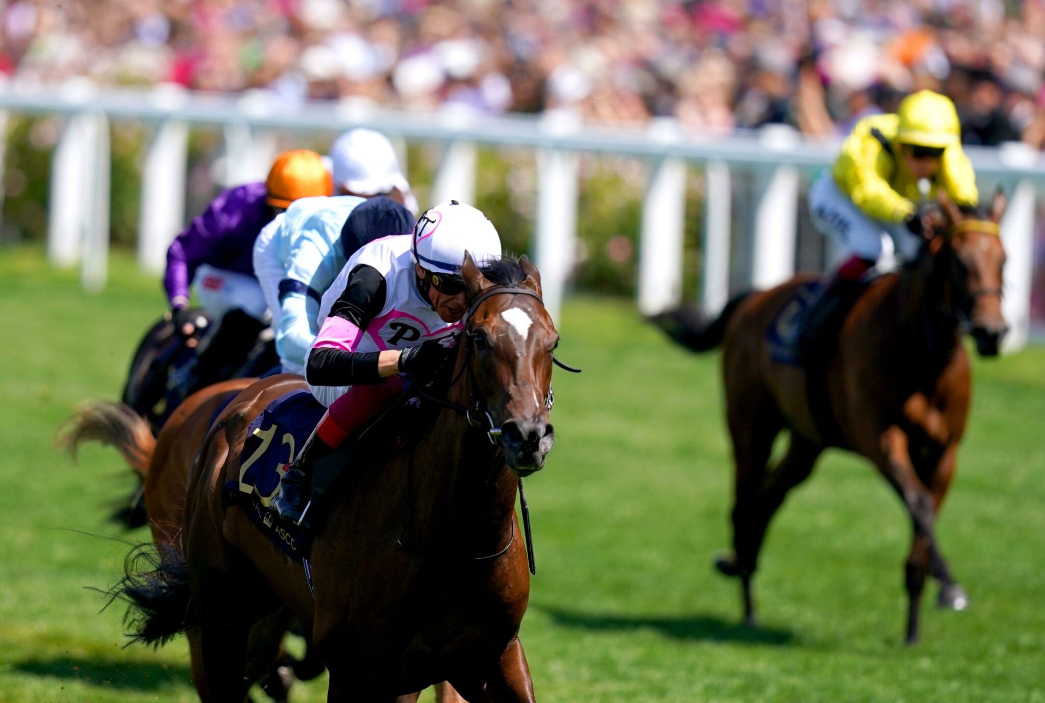 Irish 1000 Guineas Runners: 15 Horses Entered For Curragh Classic - GG ...
