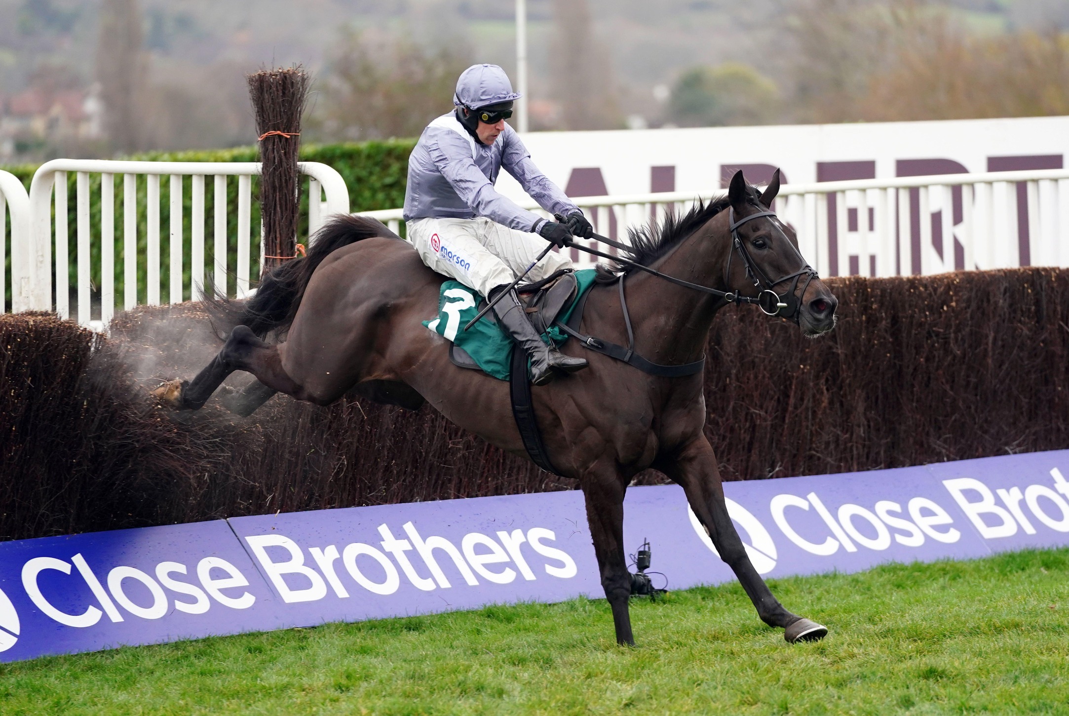 10 To Follow - Tom Aldridge's Horses To Follow For The 23/24 Jumps ...