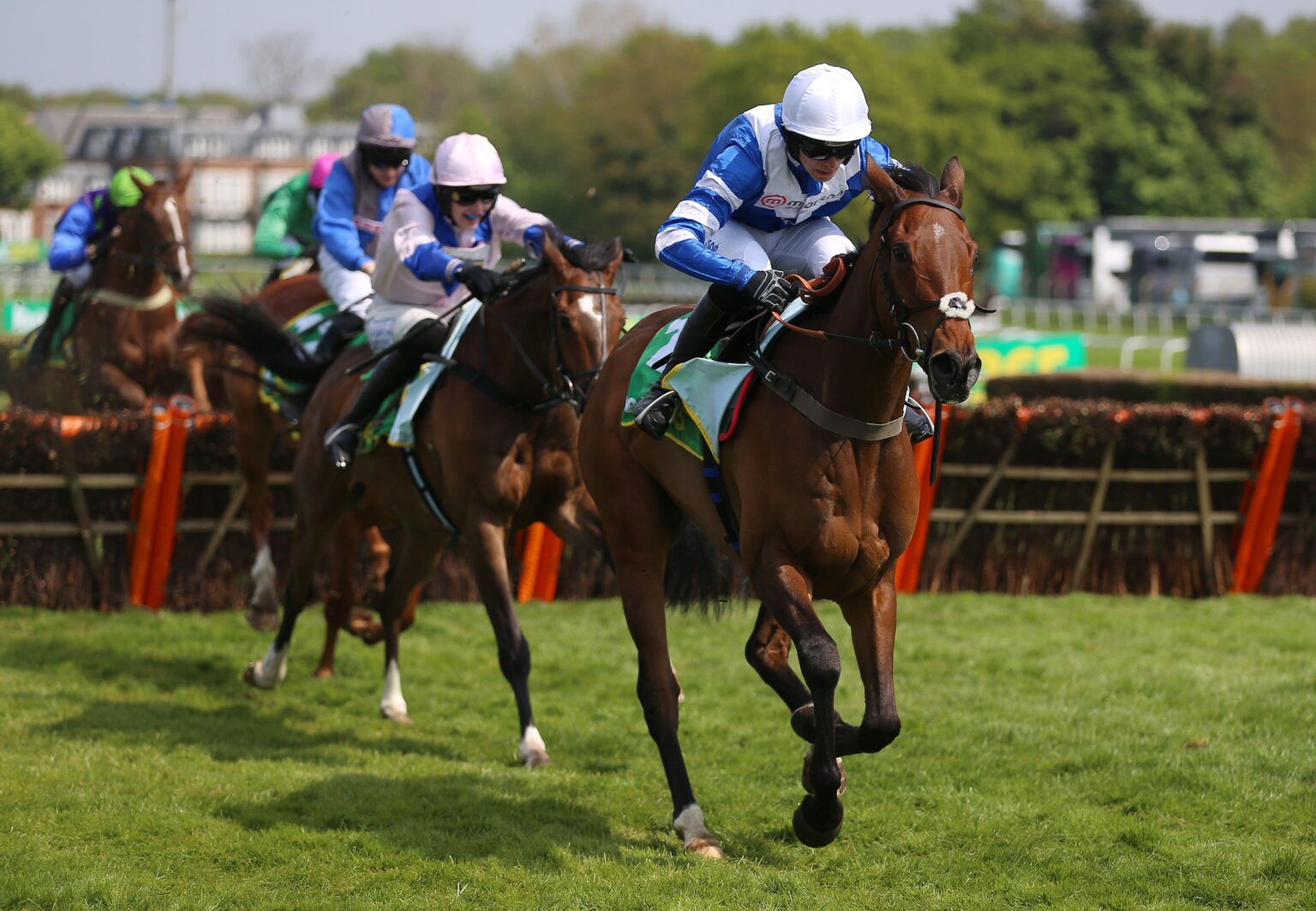 Kauto Star Novices' Chase - Preview + Verdict For The Big Grade 1 On ...