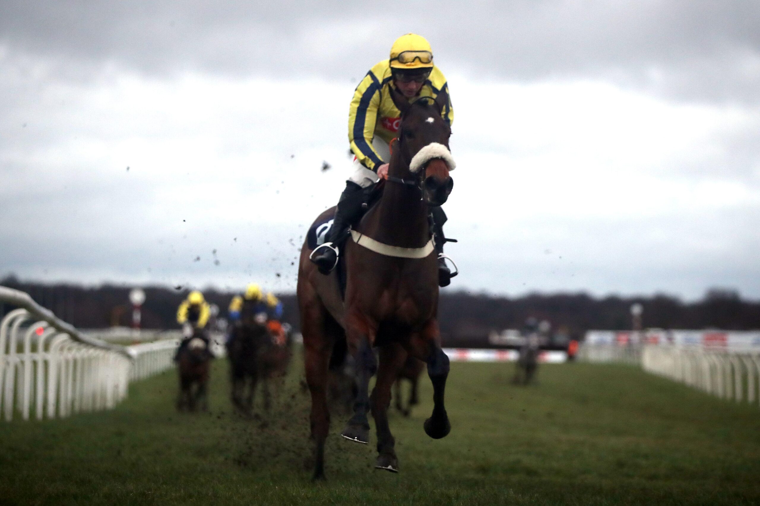 Challow Novices' Hurdle - Preview + Verdict For Newbury's Grade 1 ...