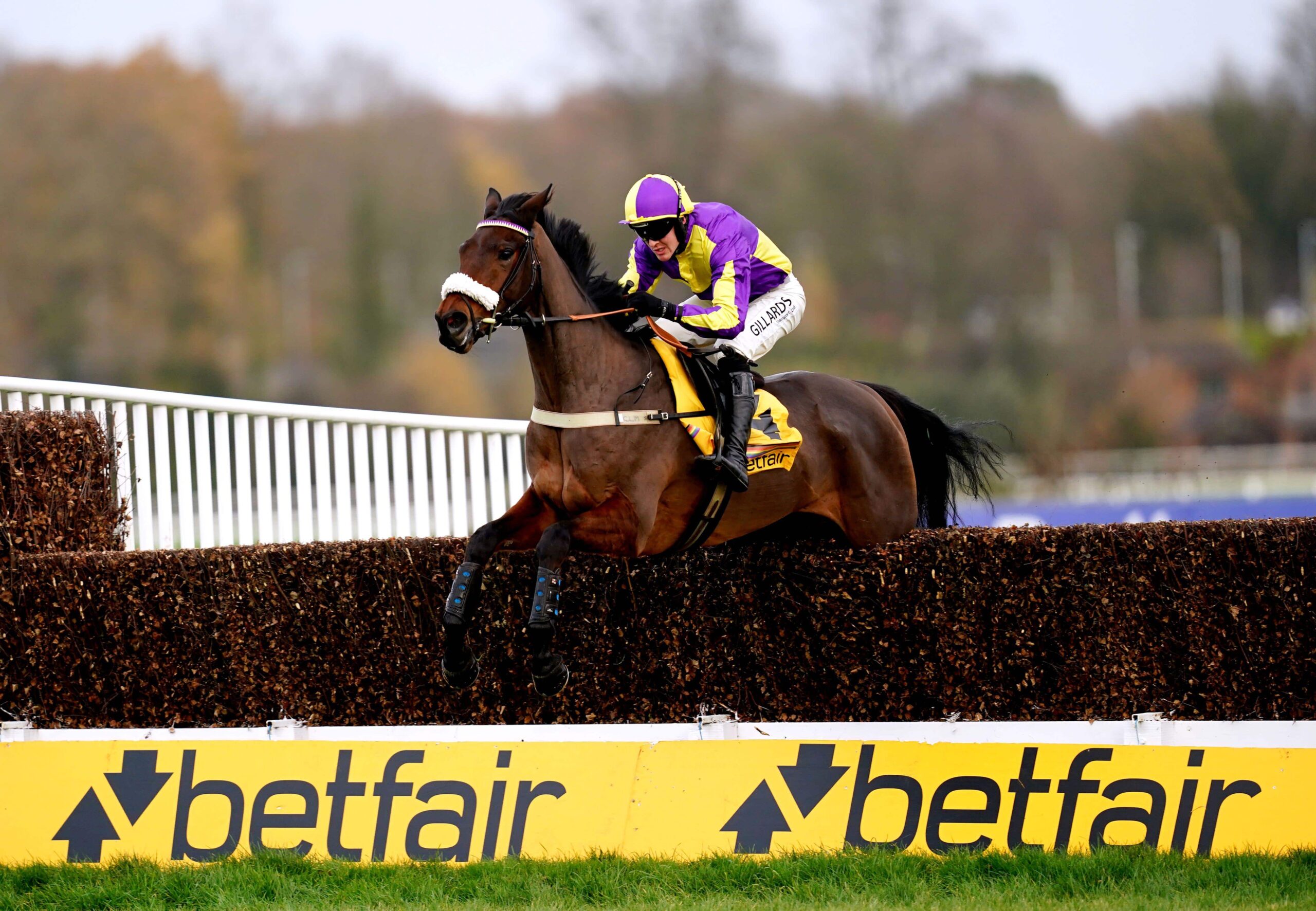 Matthew Sutcliffe's Value Punts - Saturday, 3rd February - GG.co.uk