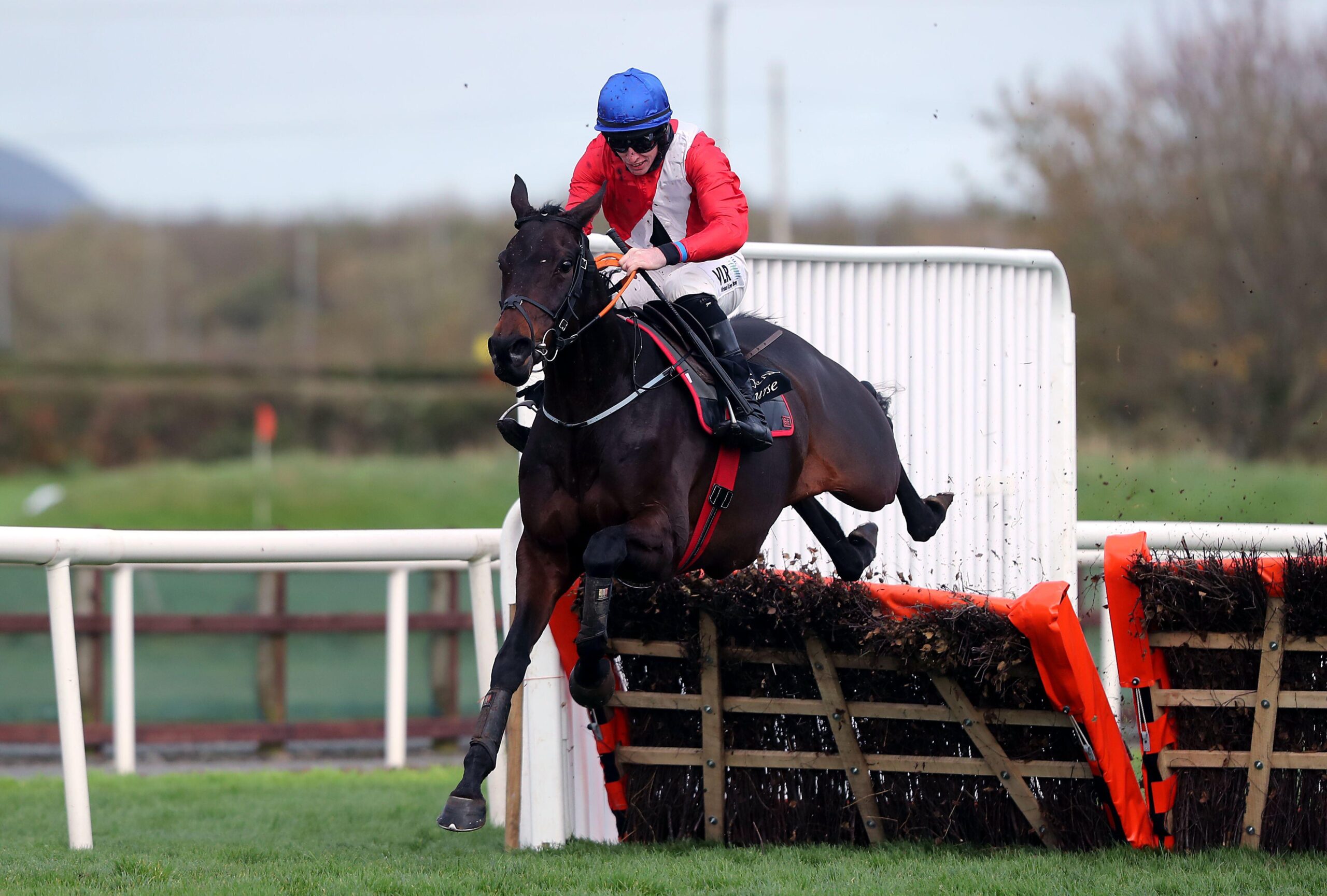 Matthew Sutcliffe's Cheltenham Value Punts - Bally a Bet in Coral Cup ...