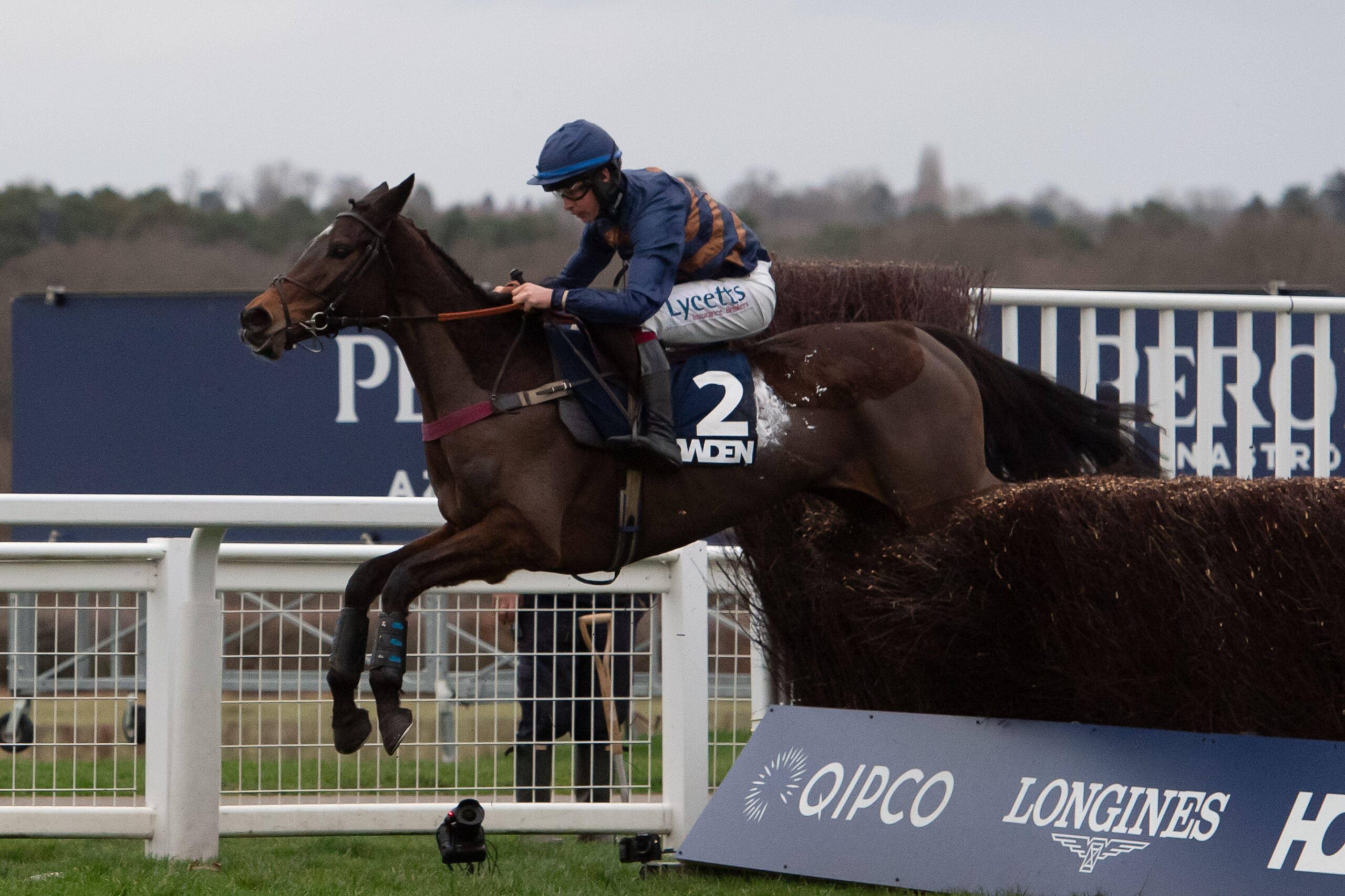 Matthew Sutcliffe's Cheltenham Value Punts - Djelo Can Capitalise on ...