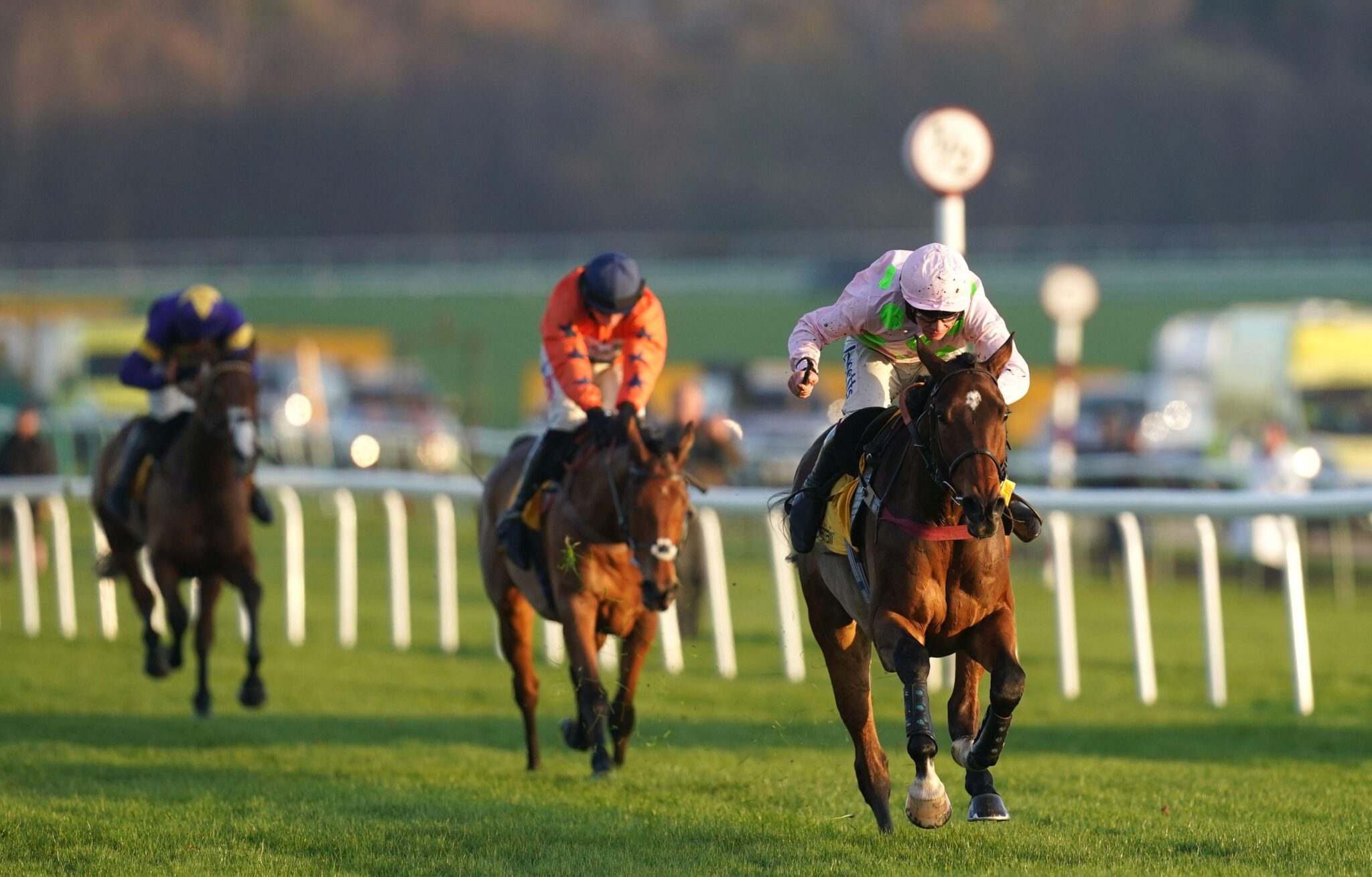 Betfair Chase Runners 2024 - Cross Off the List but Grade 1 Dawning ...