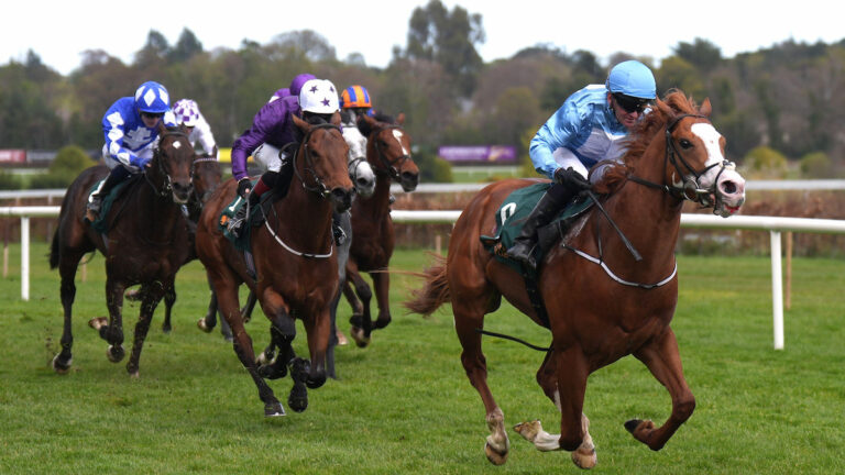 Wexford Racing Tips & Predictions - Thursday 7th May 2026