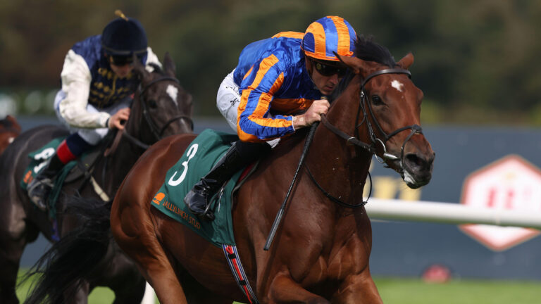 Fairyhouse Racing Tips & Predictions - Friday 12th June 2026