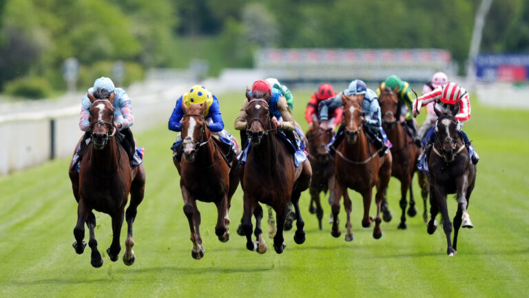York Racing Tips Today: Andrew Mount's Best Bets (13 Jun 2026)